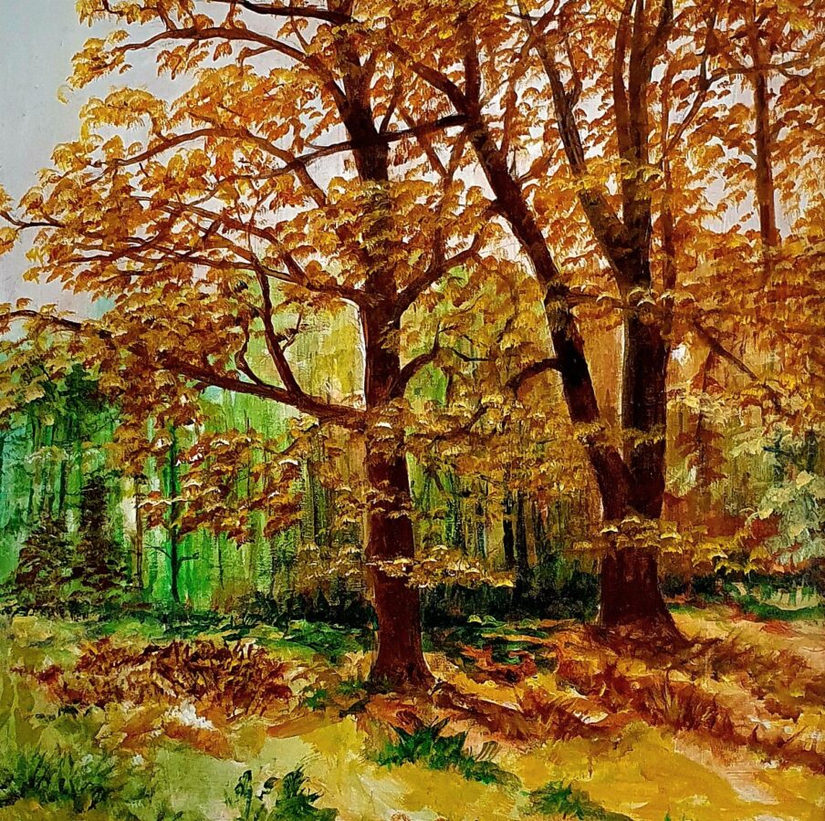 Jan Dijkstra - Kunstroute Zeist